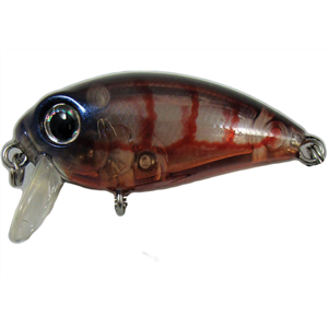 Trollcraft Kody 32 Shallow Diver Lure - Brown Shrimp – Byron Bay ...